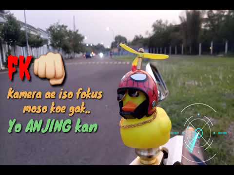 Status wa bebek 😂