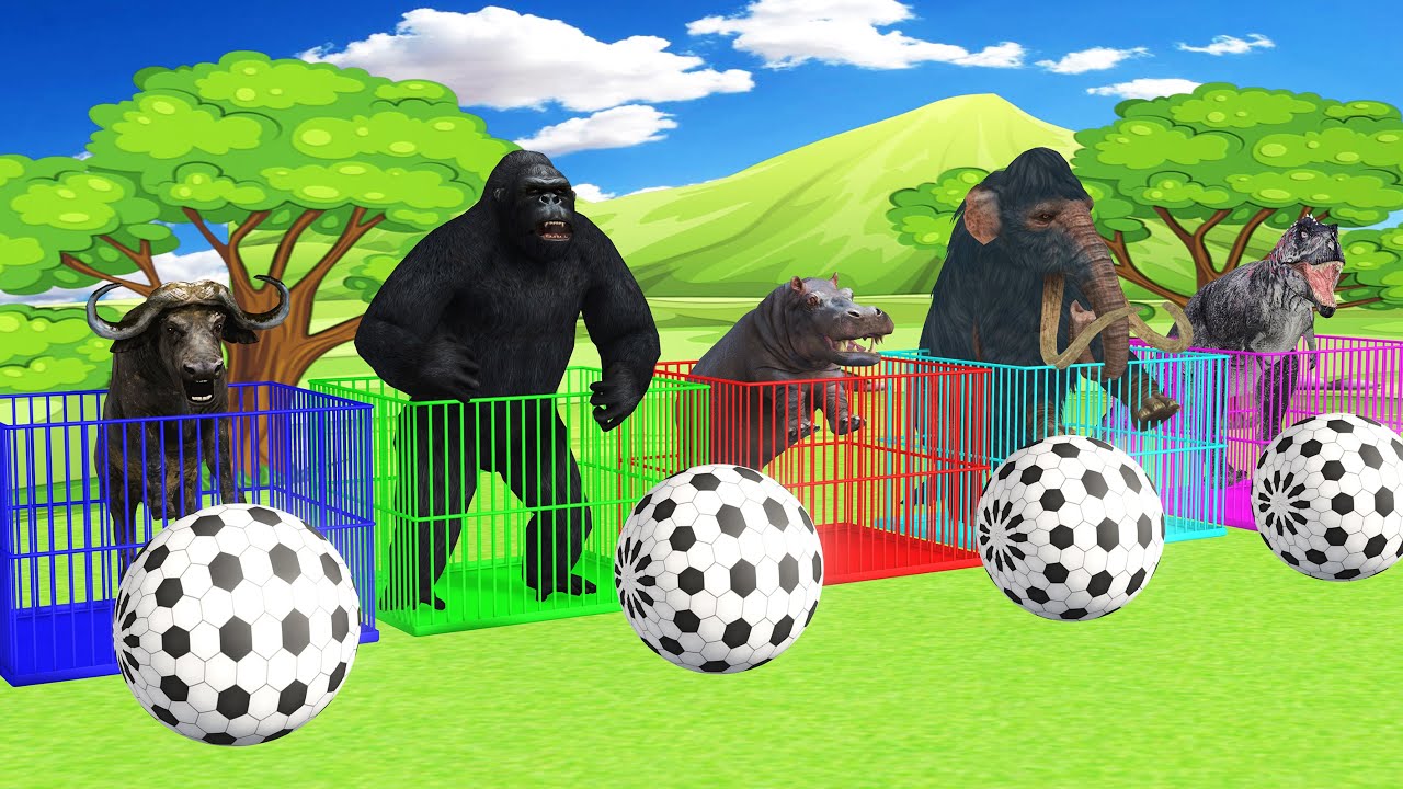 Volleyball Game With Mammoth Gorilla Dinosaur Elephant Buffalo Wild ...