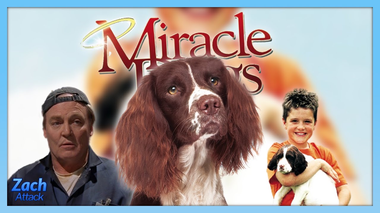 Your Christian Grandma Probably LOVES Miracle Dogs | Zach Attack - YouTube