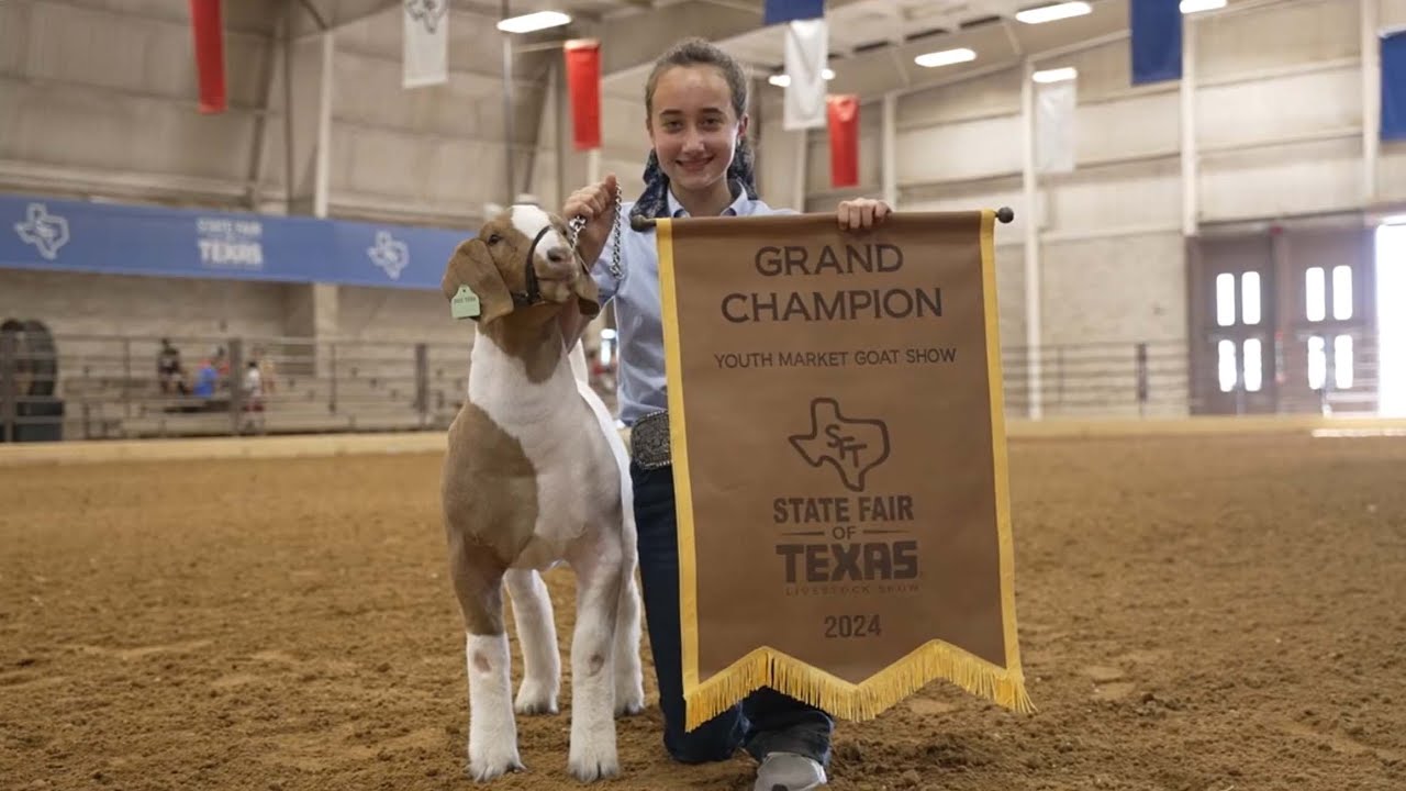 2024 Grand Champion Market Goat | Big Tex Youth Livestock Auction - YouTube