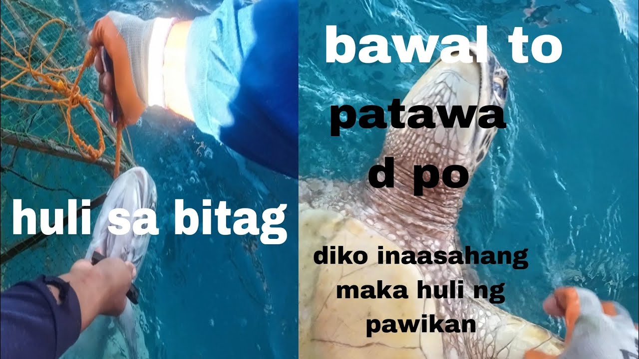 Ep,180 taob ang bobo pang nukos gawa ng malaking mamsa - YouTube
