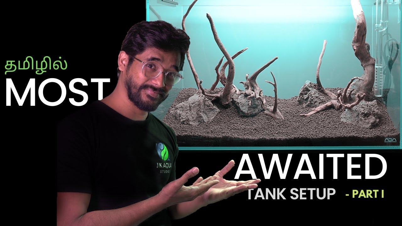 🐠🐠 MY MOST AWAITED FISH TANK SETUP | ADA 60P | EP 206 - YouTube