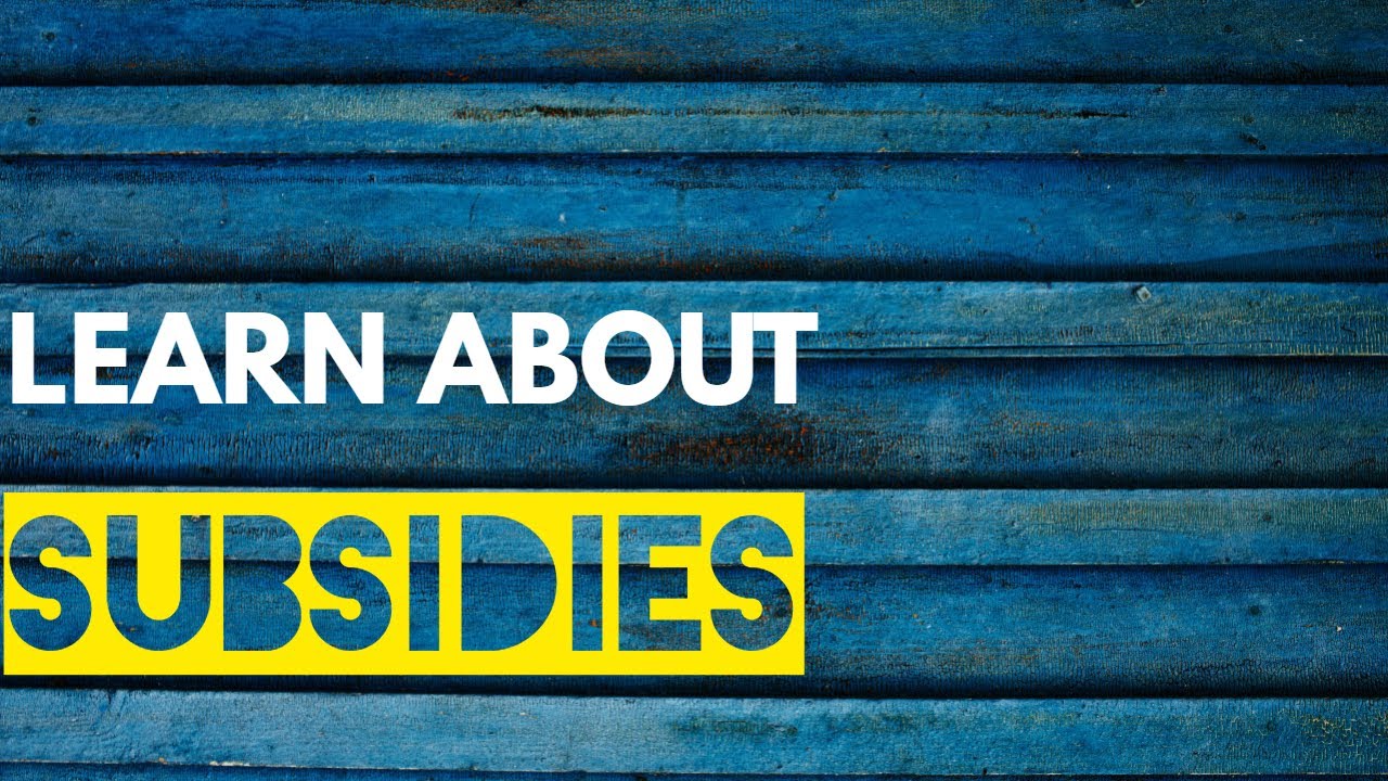UNDERSTANDING and APPLYING Subsidies | Economics Help - YouTube