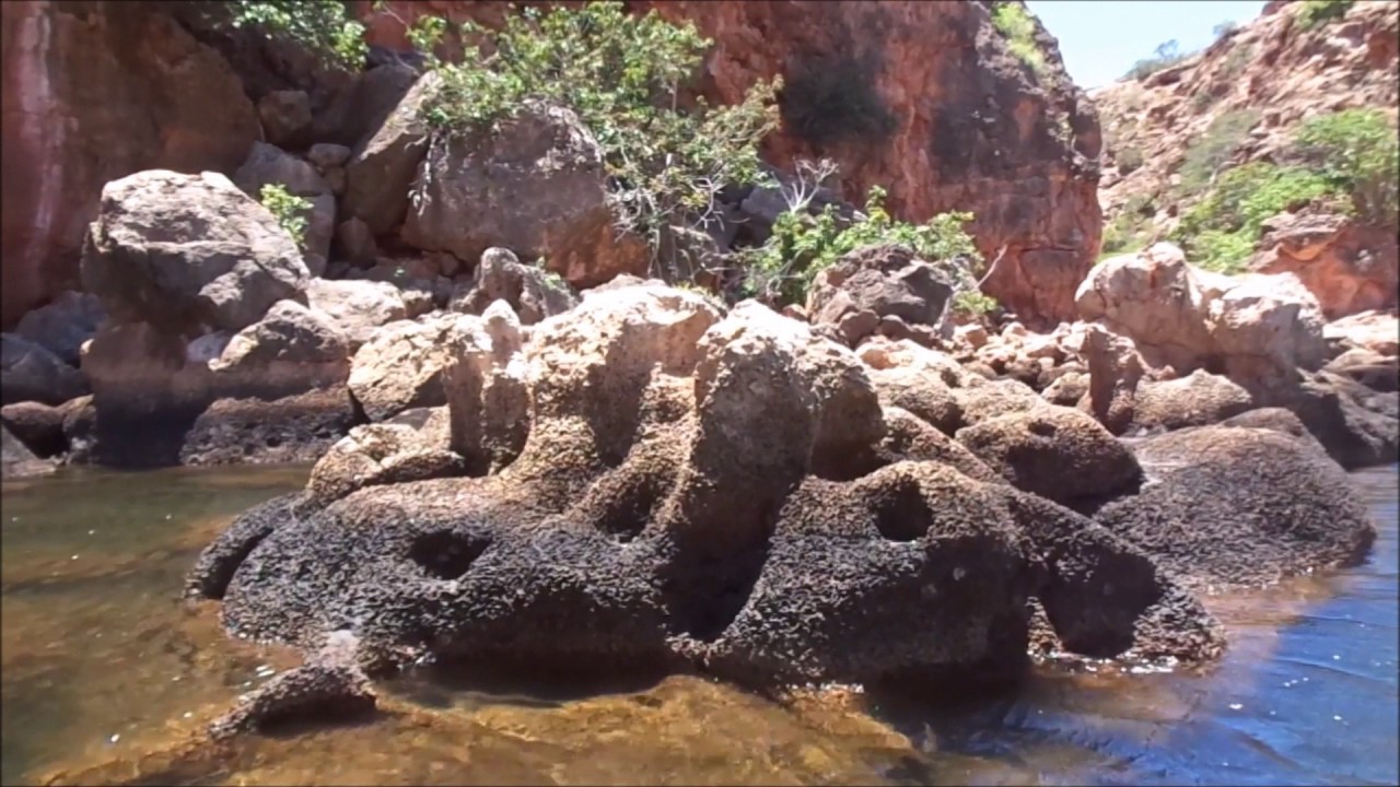 Yardie Creek Boat Tour - YouTube