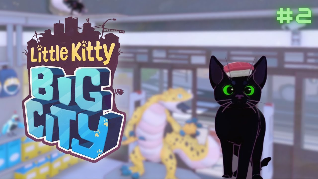 GROS MATOU VS RAMUNE | LITTLE KITTY, BIG CITY | 21/05/2024 - YouTube