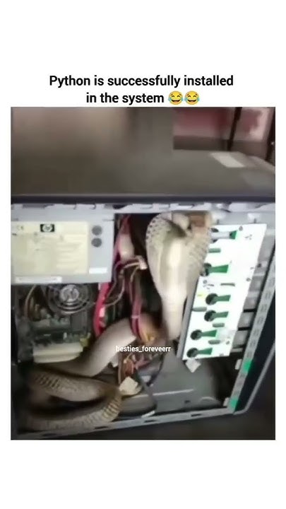 Python successfully installed - YouTube