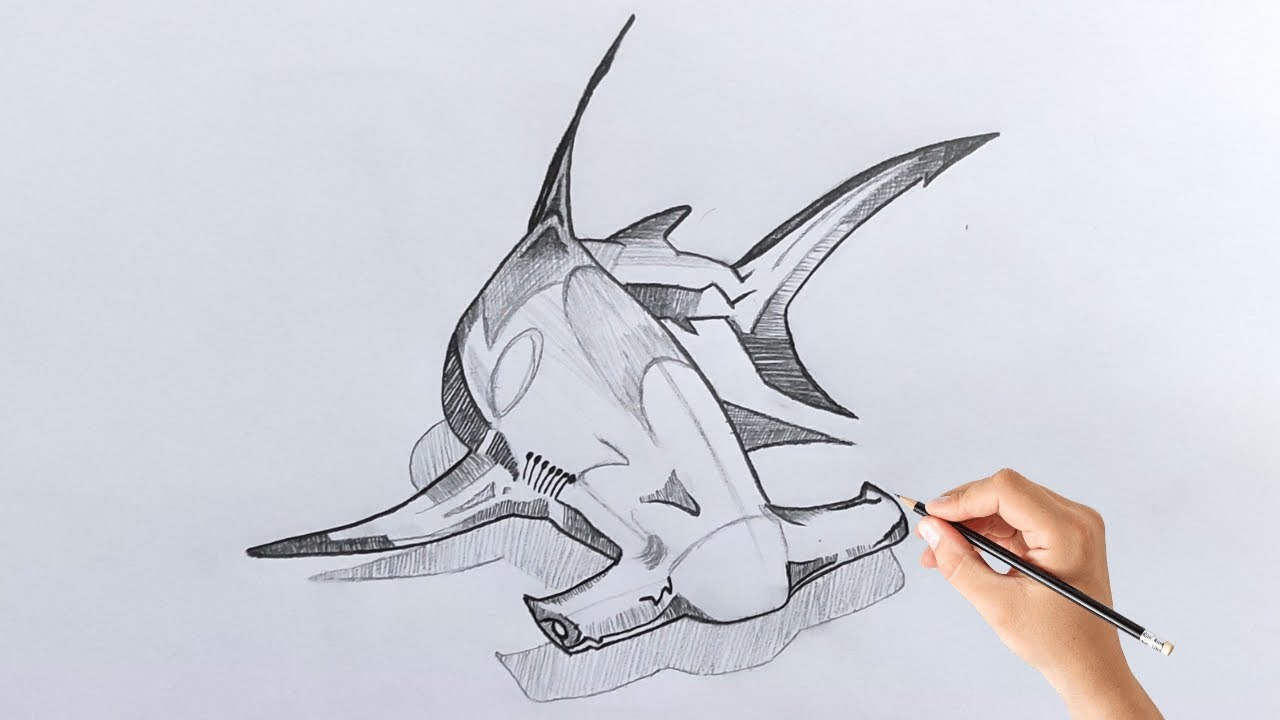 How to draw a Shark | Hyperrealistic Shark Drawing Timelapse | Pencil ...