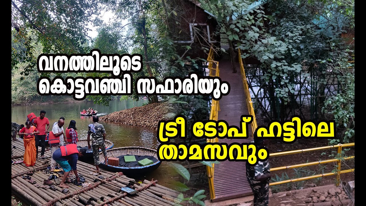 adavi eco tourism Konni | Tree top house at adavi | കാടിന് നടുവിലൂടെ ...