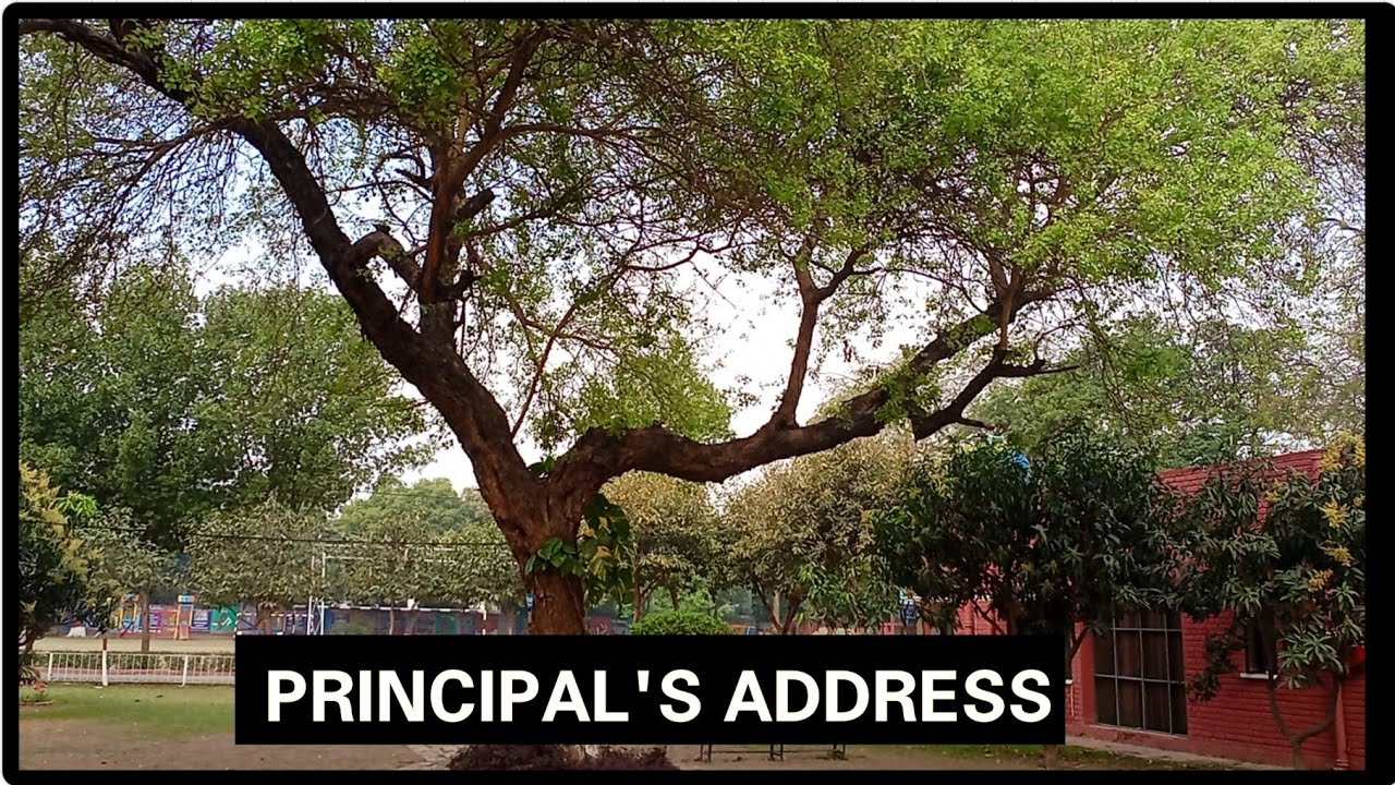 Principal's Address| APS ABID MAJEED ROAD - YouTube