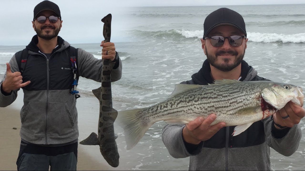 EP12 - Ilya's Leopard Shark and Striper! Vince Goes Fishing - YouTube