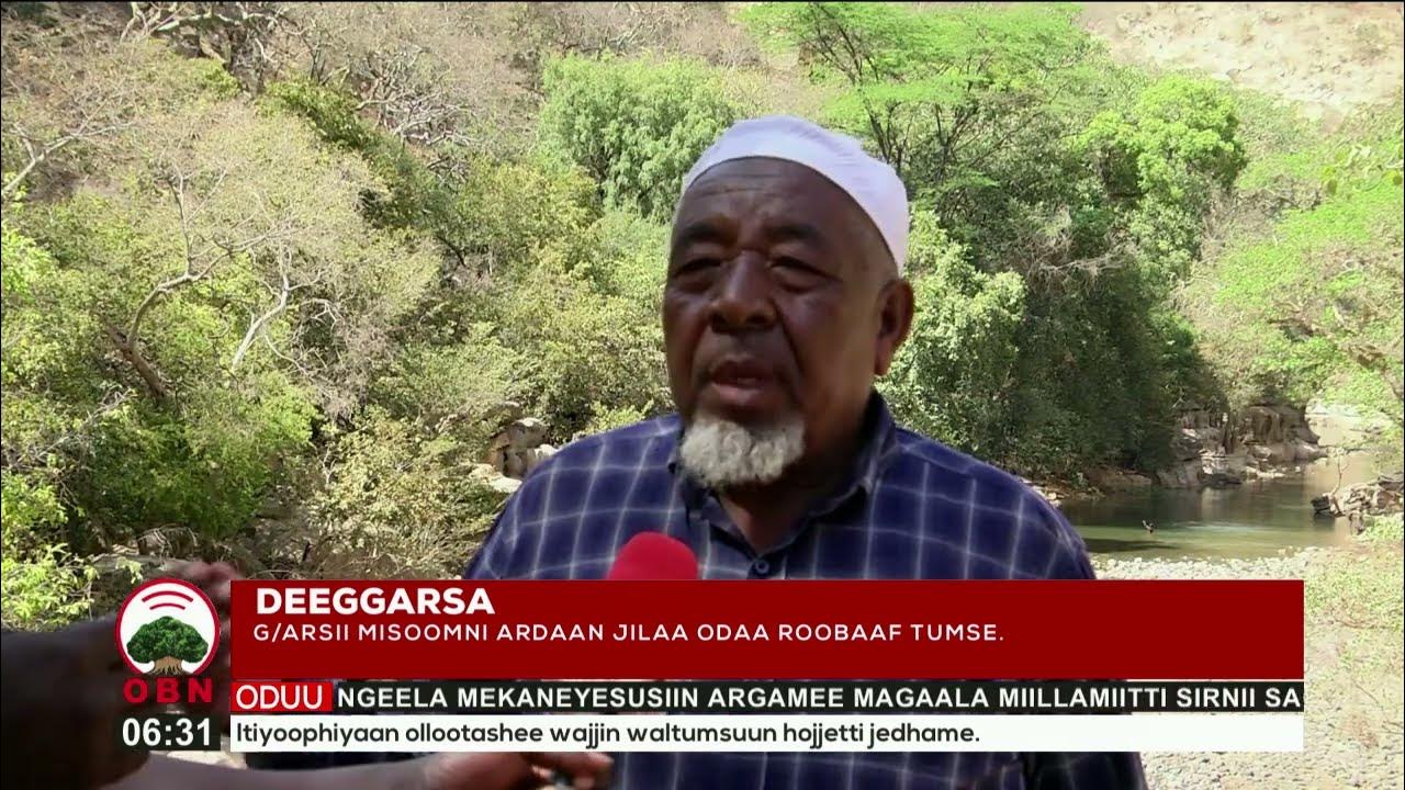 Odaa Roobaa Maaltu Jira? - YouTube