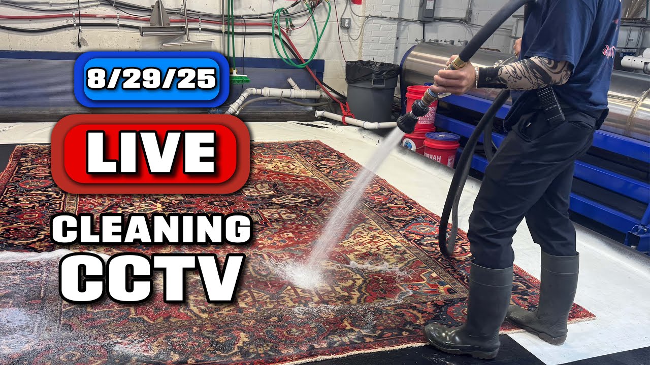 LIVE Rug Washing | CCTV! - YouTube
