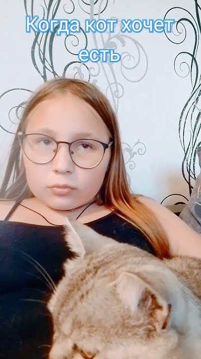 милый котик🥰 Youtube