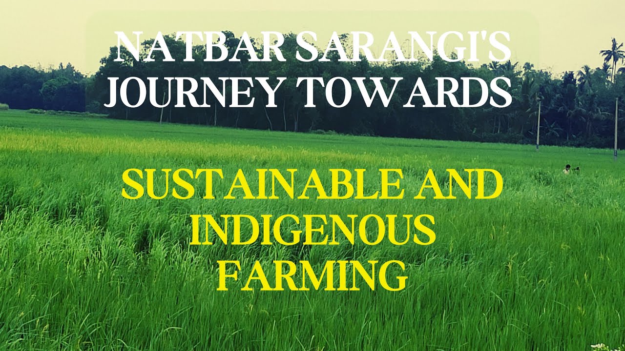 Natbar Sarangi's Journey towards Sustainable and Indigenous Farming ...