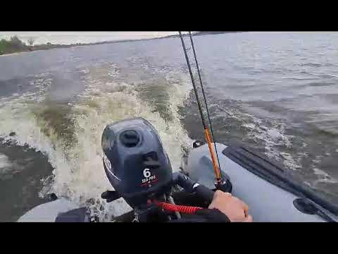 Лодочный мотор Sea Pro F6(S) 4х тактн - YouTube