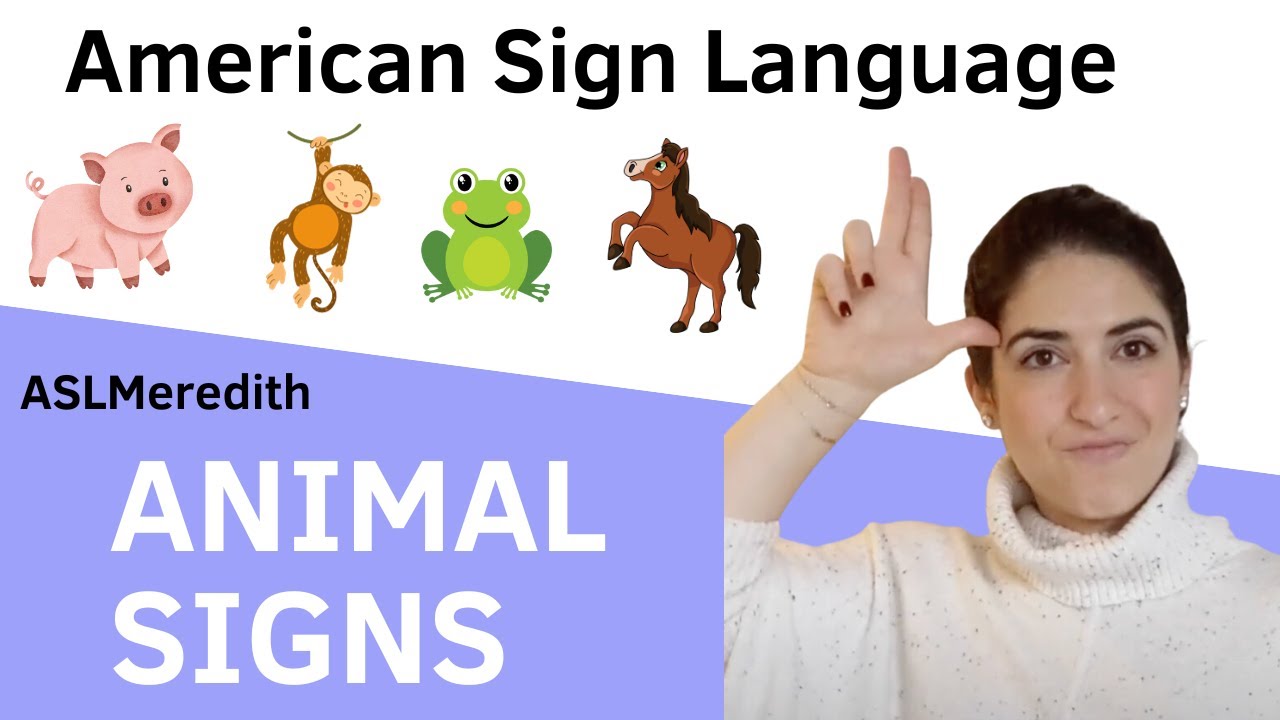 Learn to sign farm and zoo ANIMALS in American Sign Language (ASL ...