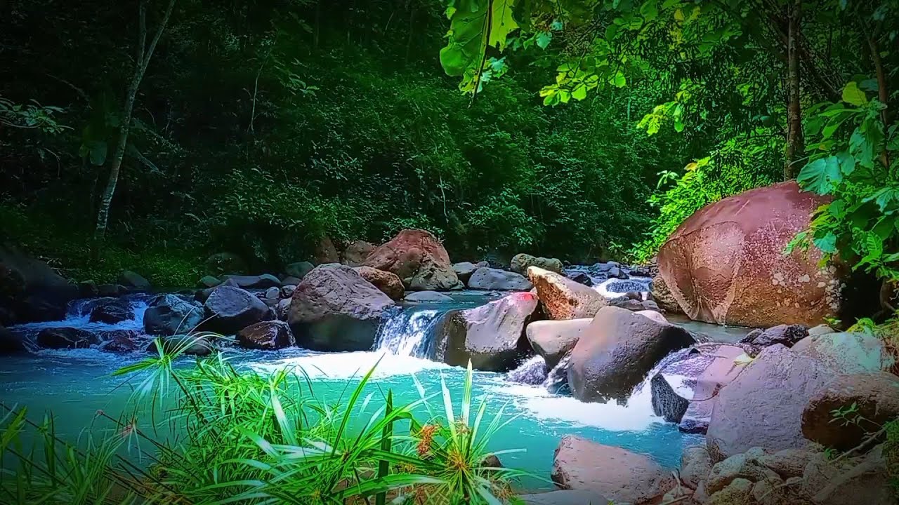 HARMONY OF THE RIVER CALMING TUNES WITH NATURAL WATER AMBIENCE - YouTube