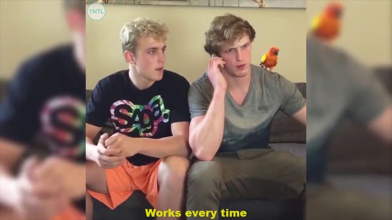 Logan Paul & Jake Paul Vine Compilation 2018/ Best Vine Compilation ...