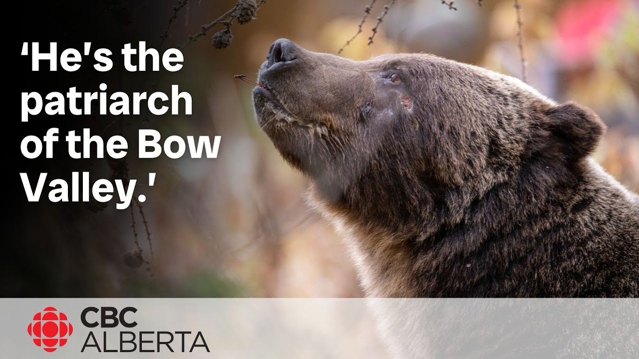 Born to run: 'The Boss' takes a trip to Canmore - YouTube