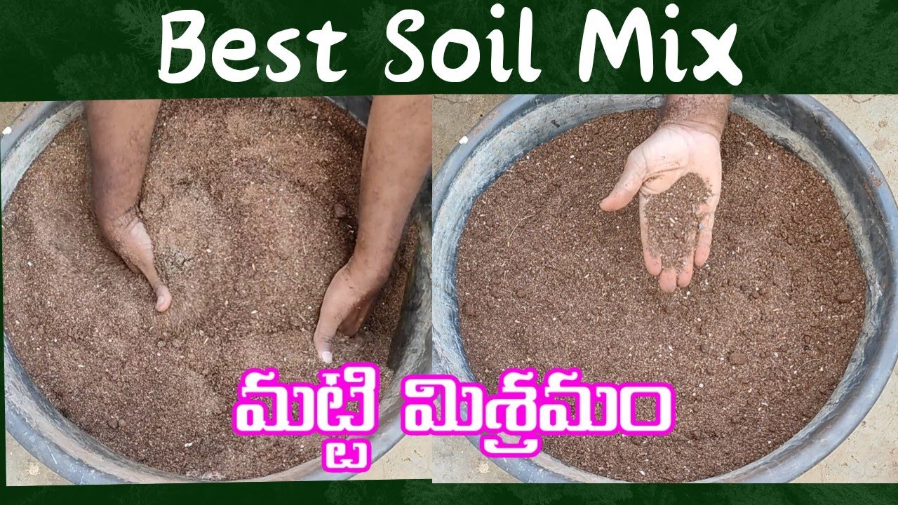 Best Soil Mix | మట్టి మిశ్రమం | Johny's Garden To Kitchen - YouTube