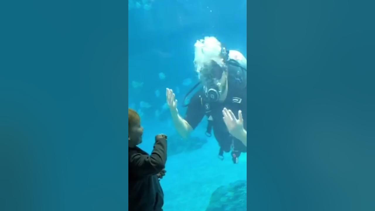 Massive Ocean Giant Surprises Aquarium Visitors in SHOCKING Moment! - YouTube