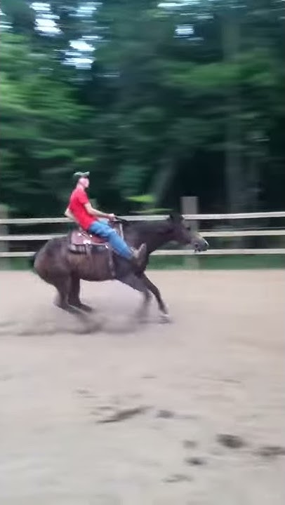 Reining Horse Slide Stop - YouTube