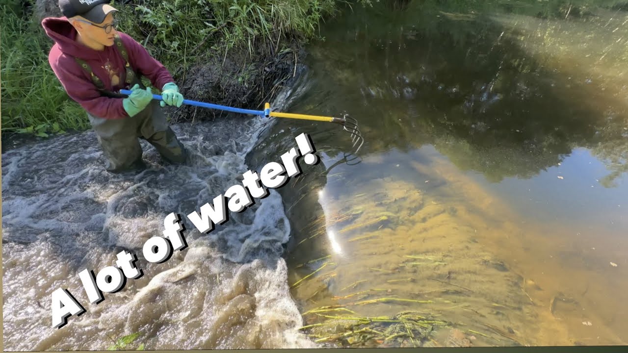 Beaver Dam Removal || Released A Lot Of Water! - YouTube