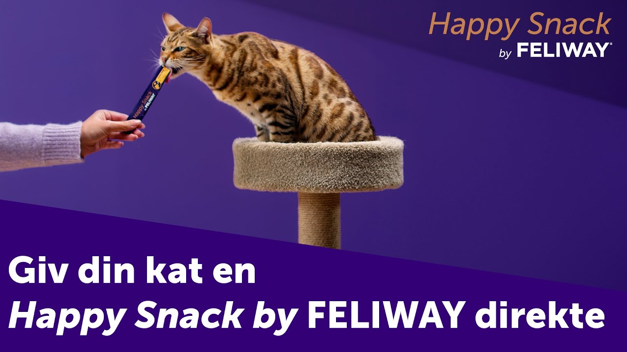 Den lækreste katte-snack | Giv nemt din kat en Happy Snack by FELIWAY ...