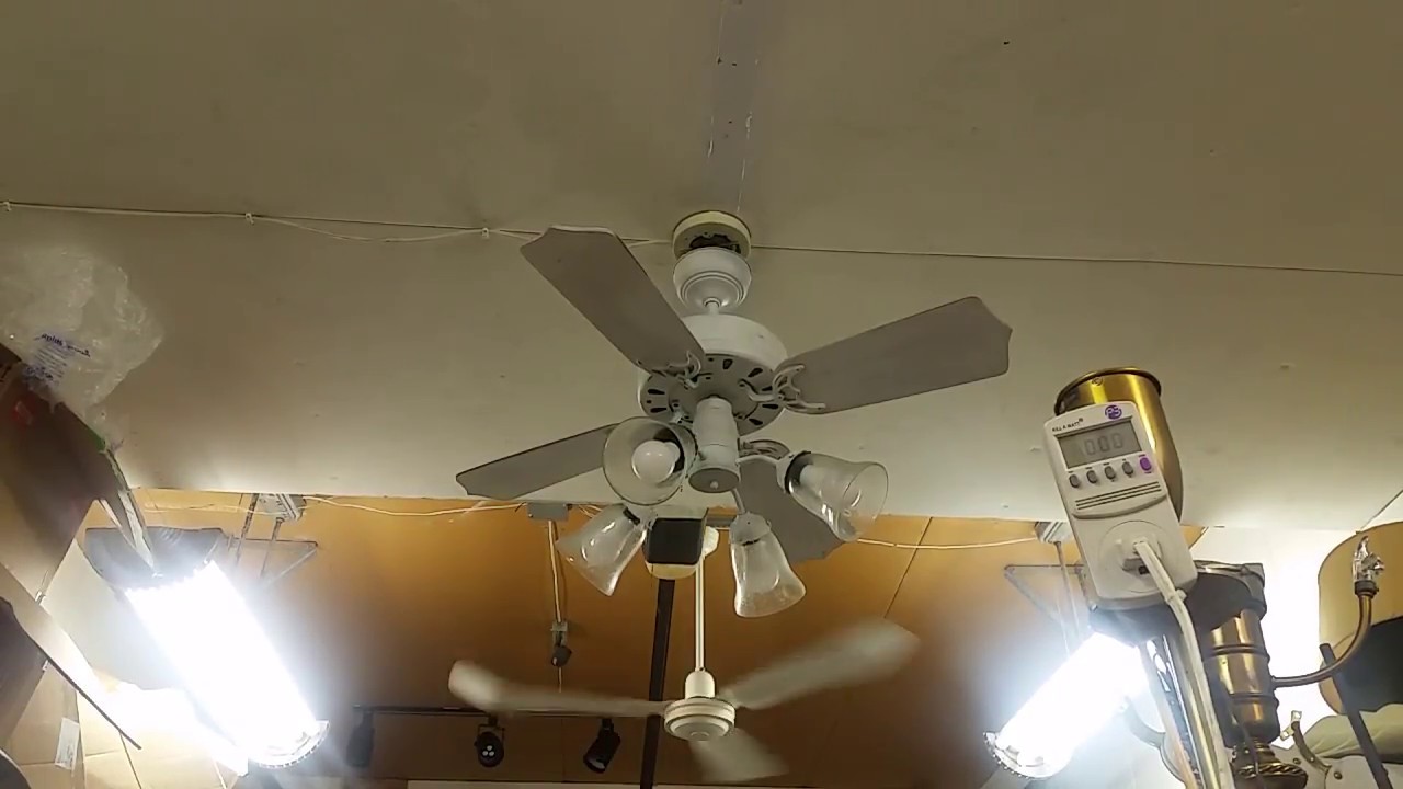 Progress Lighting "Apollo" Ceiling Fan model P-2503 (36") - YouTube