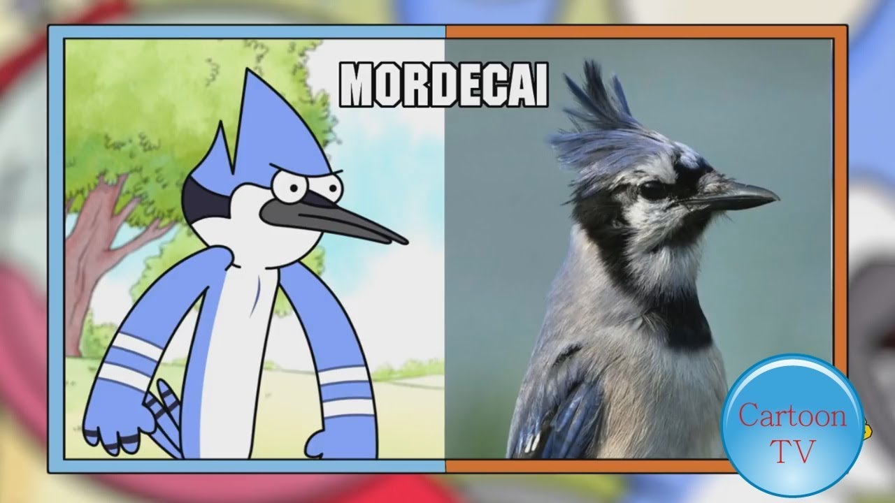 Regular Show Characters In Real Life - YouTube