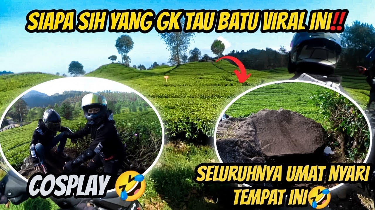 BATU VIRAL DI CIWIDEY‼️ - YouTube