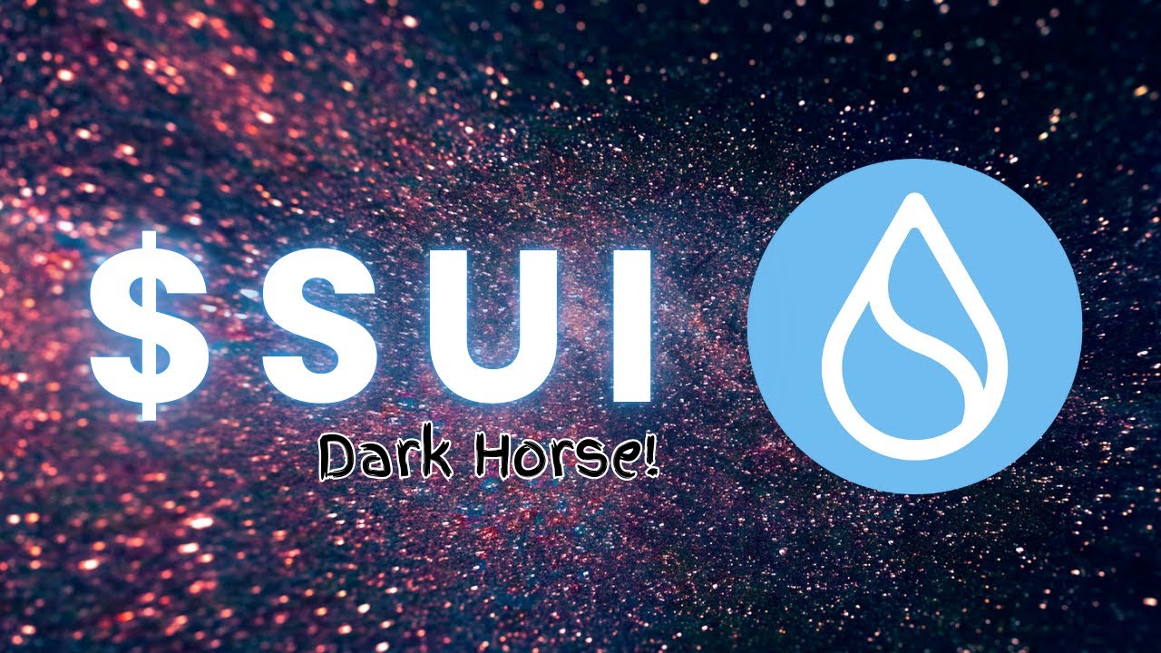 Sui Coin Latest Update and Potential! | The New Big Cap? - YouTube