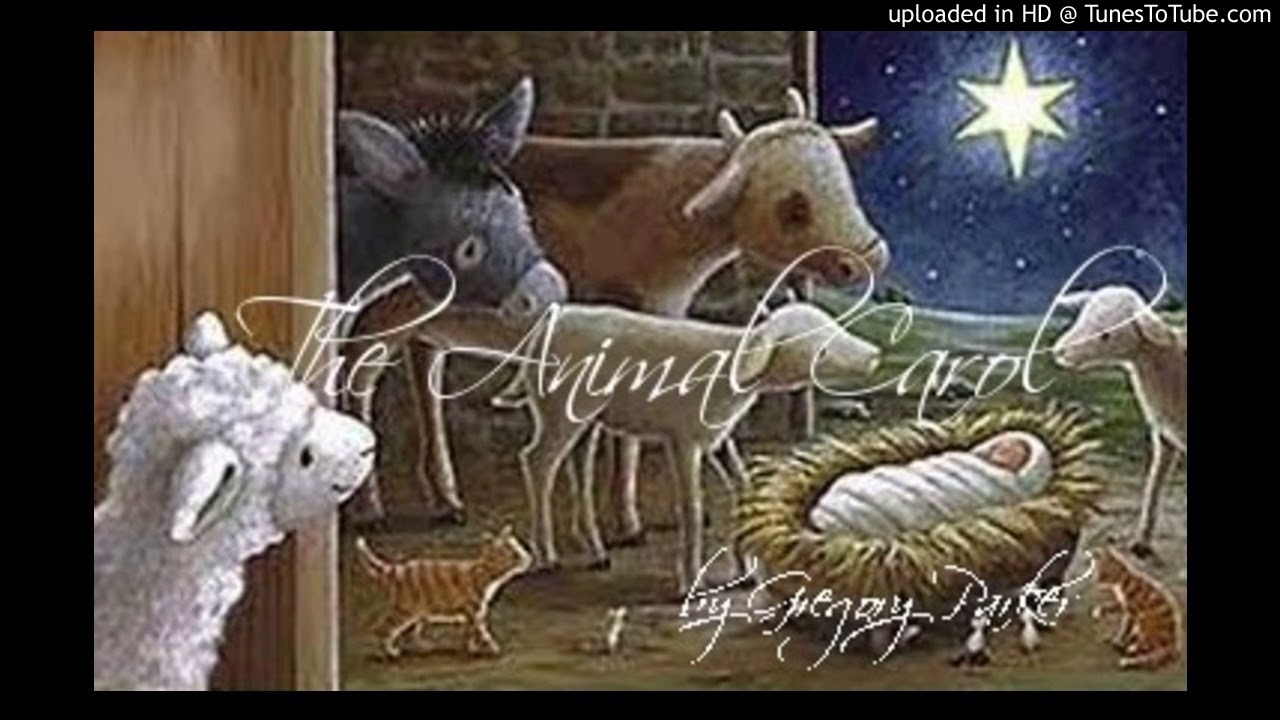 The Animal Carol - YouTube