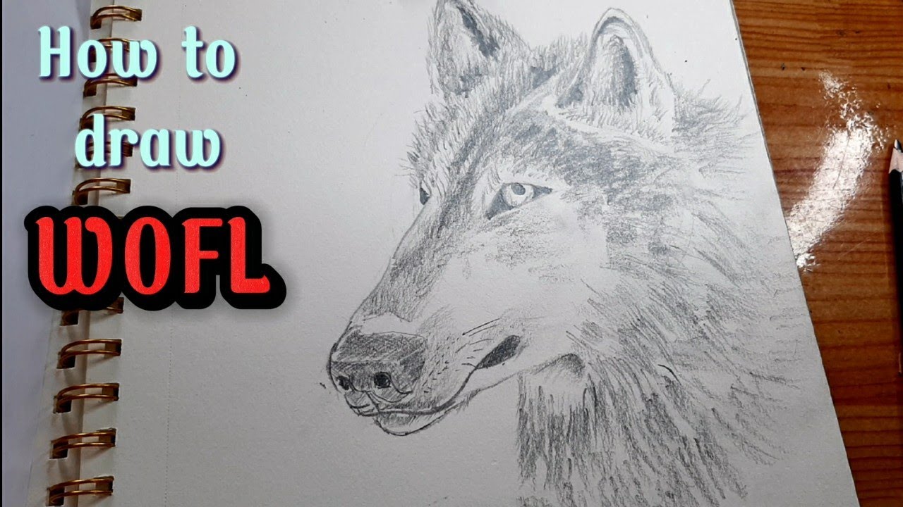 How To Draw a Wolf for Beginners | Cute draw STN - YouTube