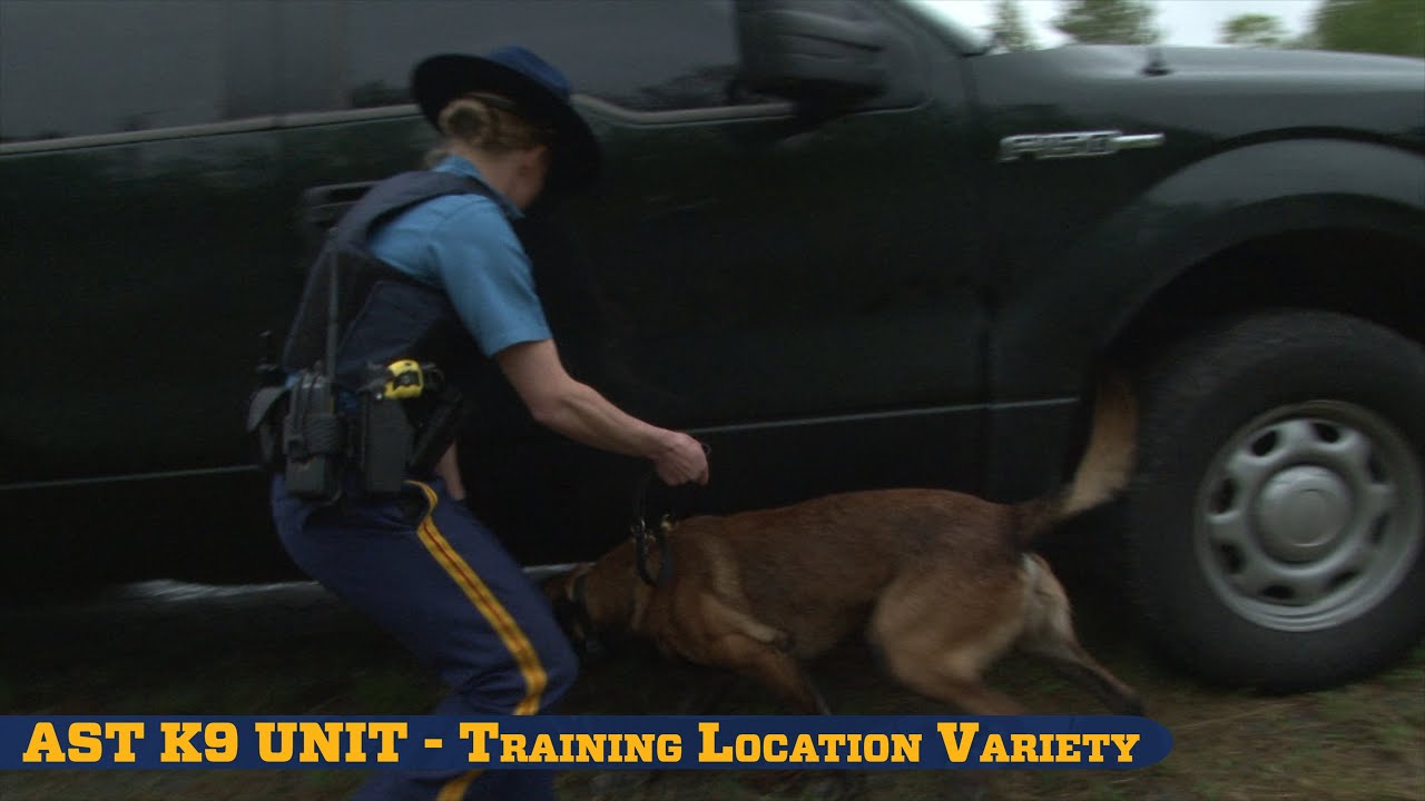 AST K9 Unit - 03 Training Location Variety - YouTube