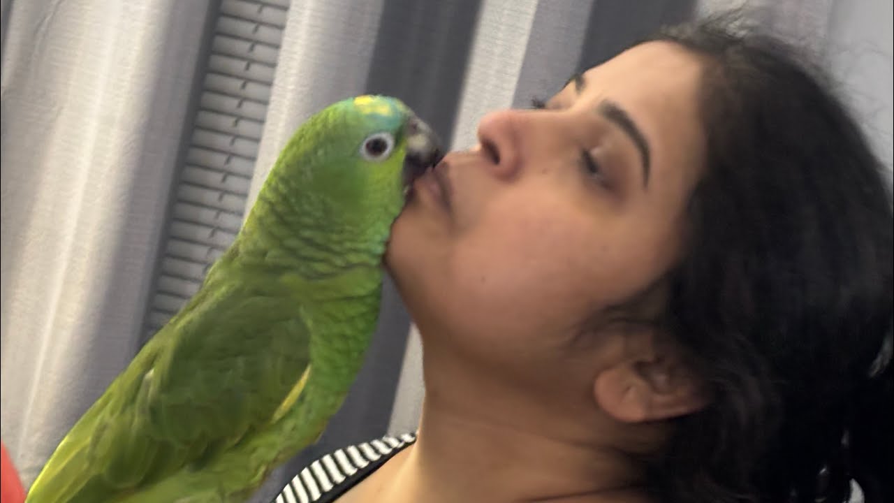So cute to watch her - our baby amazon parrot Raisona - YouTube