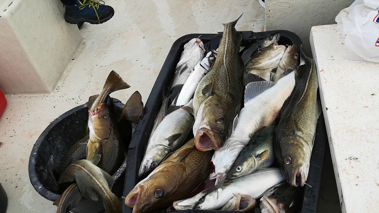 Fishing in Tustna... Isdang dako kaayo baba🤣🤣🤣 - YouTube