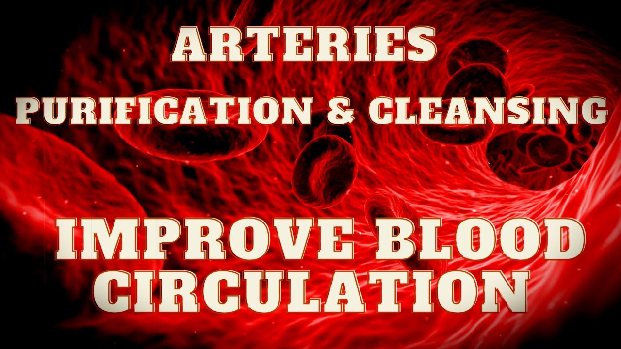 Improve Blood Circulation - Arteries Purification & Cleansing - Cure ...