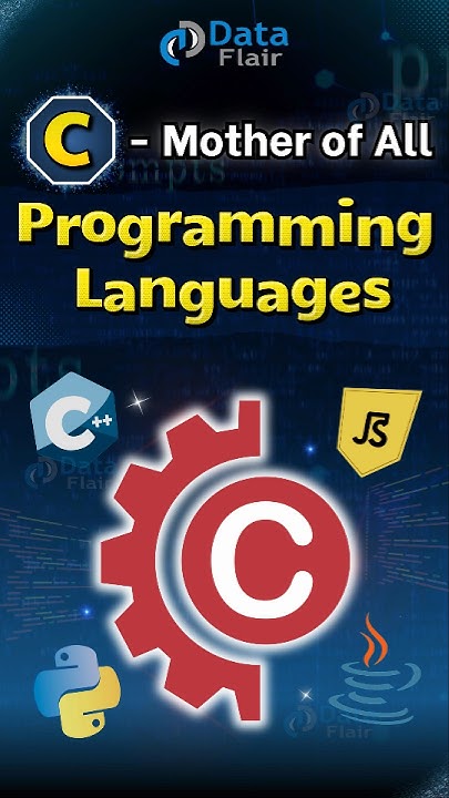 Why Python should not be Your First Programming Language? - YouTube