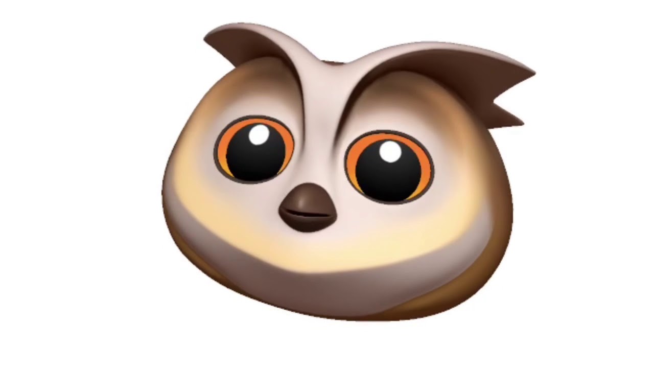 Oliver the owl 🦉 - YouTube