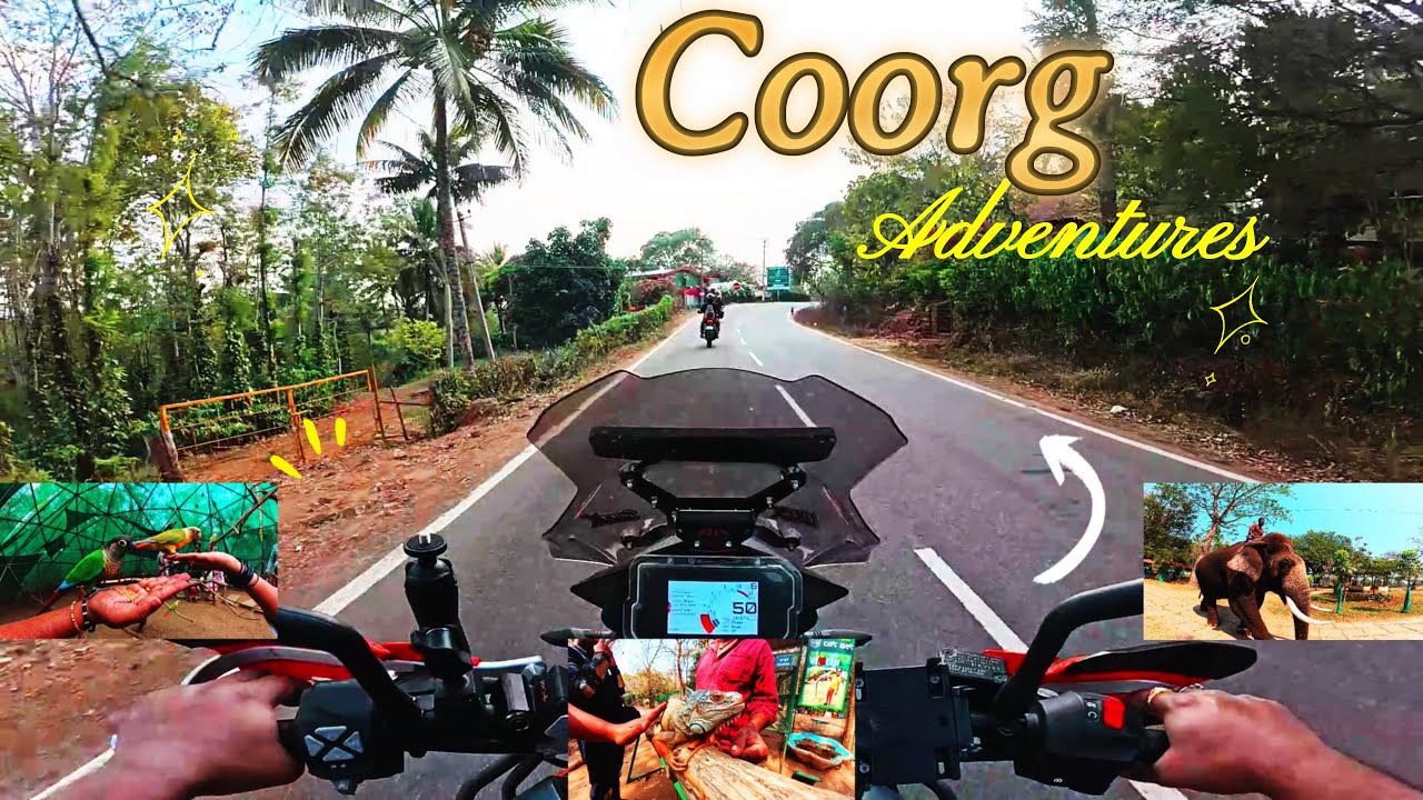 Epic Bengaluru to Coorg Bike Ride 😎 | Dubare Elephant Camp 🦣 | Cauvery ...