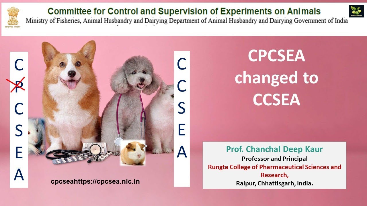 CPCSEA name changed to CCSEA #saiedupharmaa - YouTube