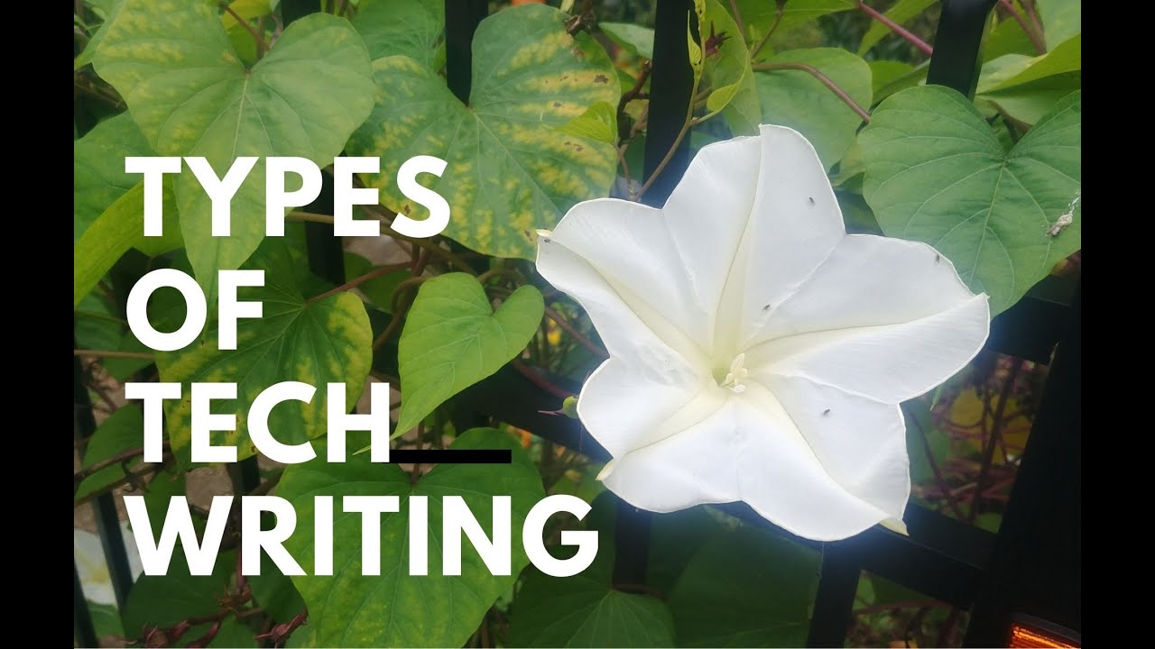 Types of Technical Writing - A Bird's Eye View - YouTube