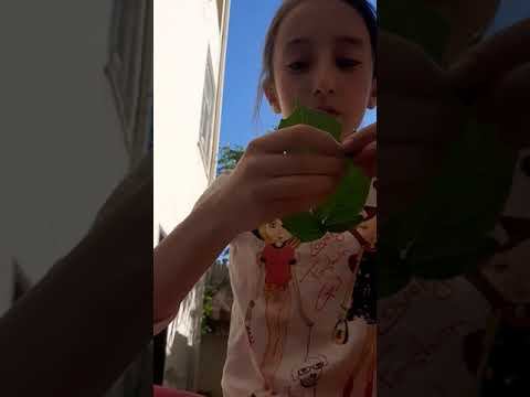 Güzel mi?🤣🤣