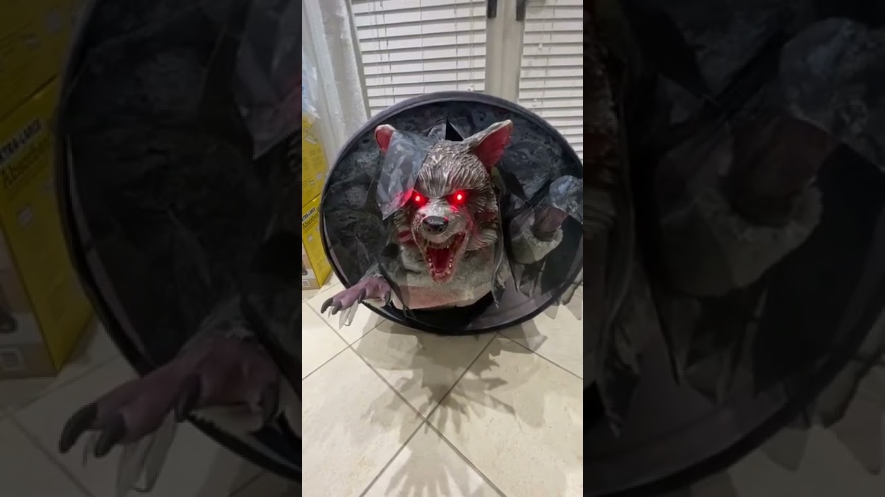 Party City Raccoon Pop Out Halloween Animatronic Demo - YouTube