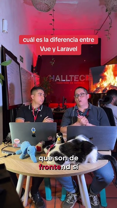 Diferencia entre Vuej y Laravel. #vuej #laravel #desarrollodesoftware #amamoshacersoftware - YouTube