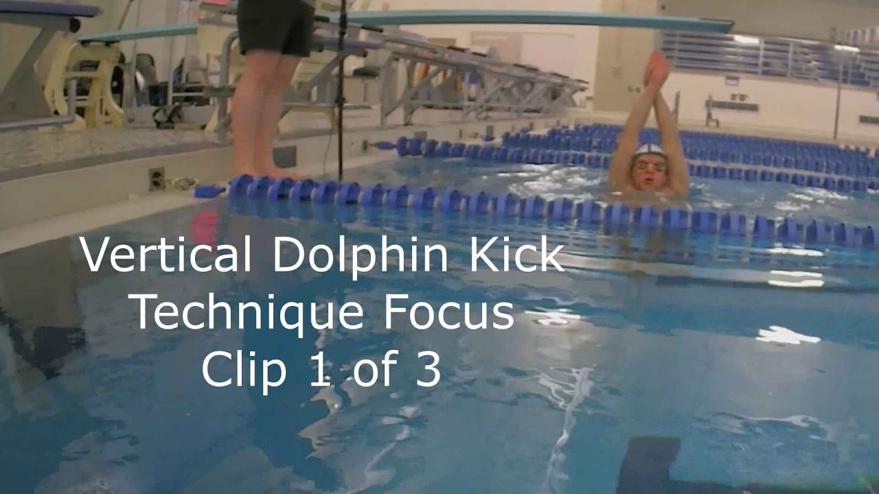 Vertical Dolphin Kick - Technique Focus Clip 1, 2, 3 - YouTube