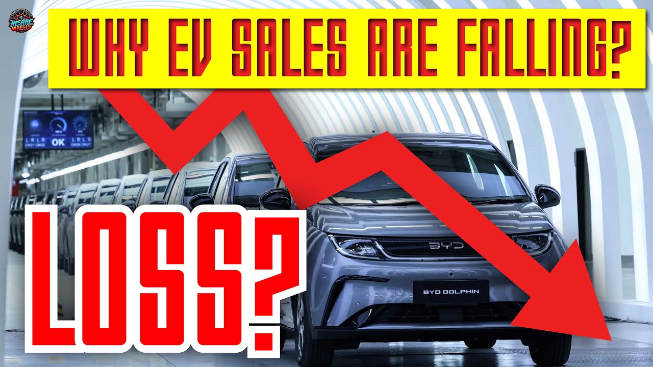 Why EV Sales Are Falling | EV Industry is in Loss? - YouTube