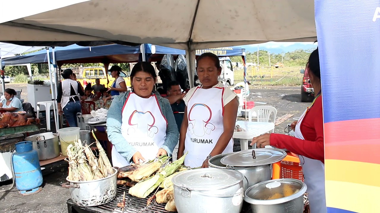 Gastronomía Shuar con verduras silvestres y hongos comestibles. - YouTube