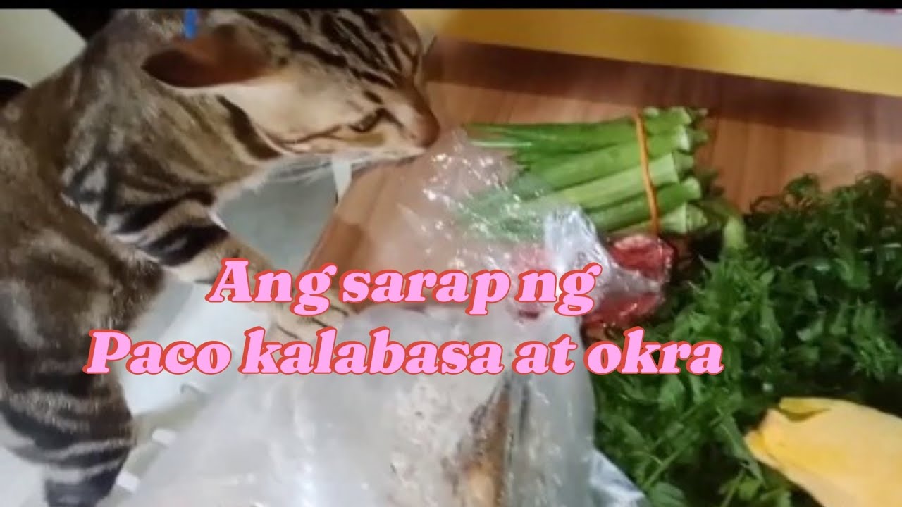 Ganito iluto ang Gulay na Paco, kalabasa at Okra. Magugulat ka sa Sarap ...